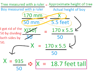816 Math Blog (2012): Patricia B's Proportion Post