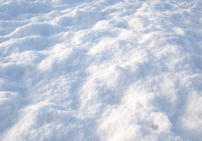 Fearless Journeys & Epic Transformations: It is Only October and There ...