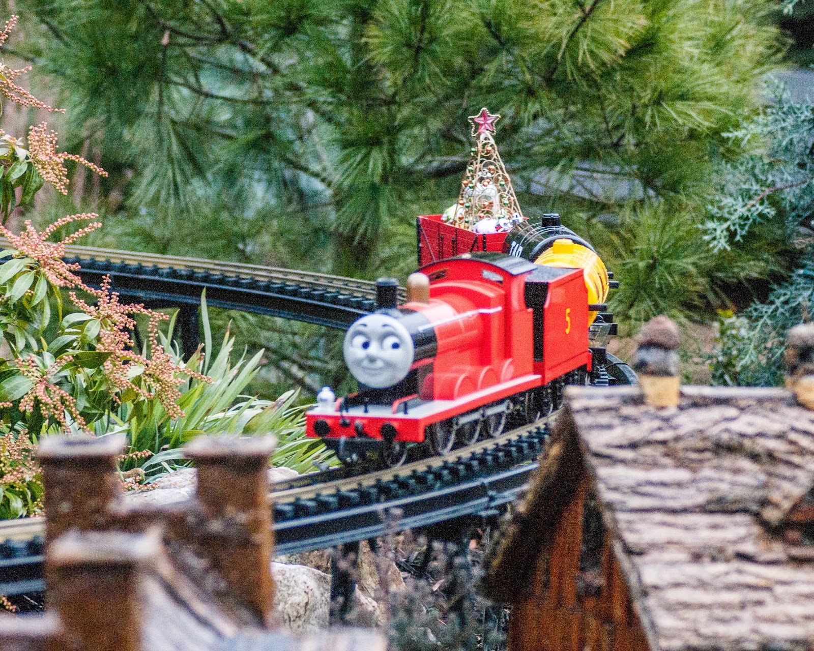 NEW SAVANNA Toy Trains new-savanna-toy-trains