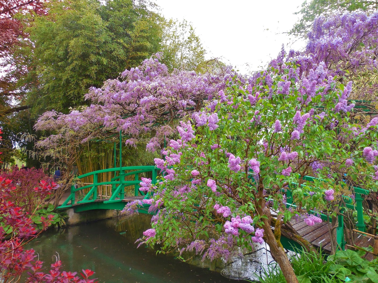 Teatime Journeys: Day 8- Monet's Garden