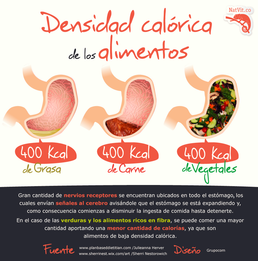 BLOG DE EDUCACIÓN FÍSICA por Jesús Madrid Boyero: DENSIDAD CALÓRICA DE ...