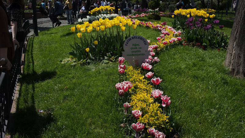1001 Nights in Istanbul: Istanbul is Blooming - Flowers and Tulips