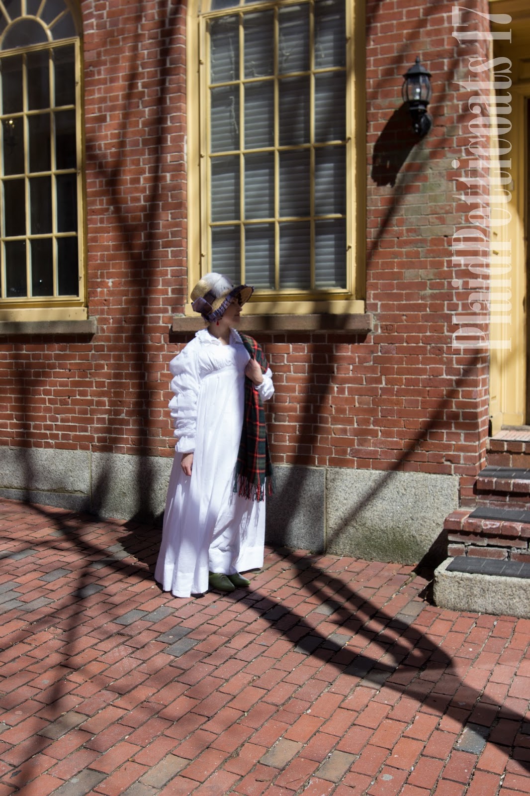 Plaid Petticoats: Embracing the Romantic: Mameluke Sleeves