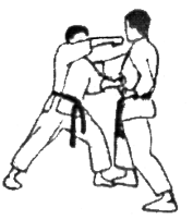 BUDO TOLEDO: TSUKI WAZA: TÉCNICAS DE PUÑO (GOLPES)