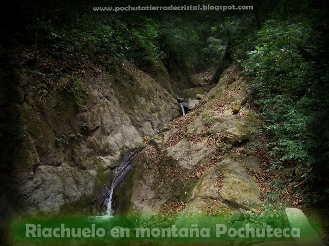 CHIMALTENANGO - SAN MIGUEL POCHUTA - NACIMIENTOS DE AGUA - CORTESIA DE ...