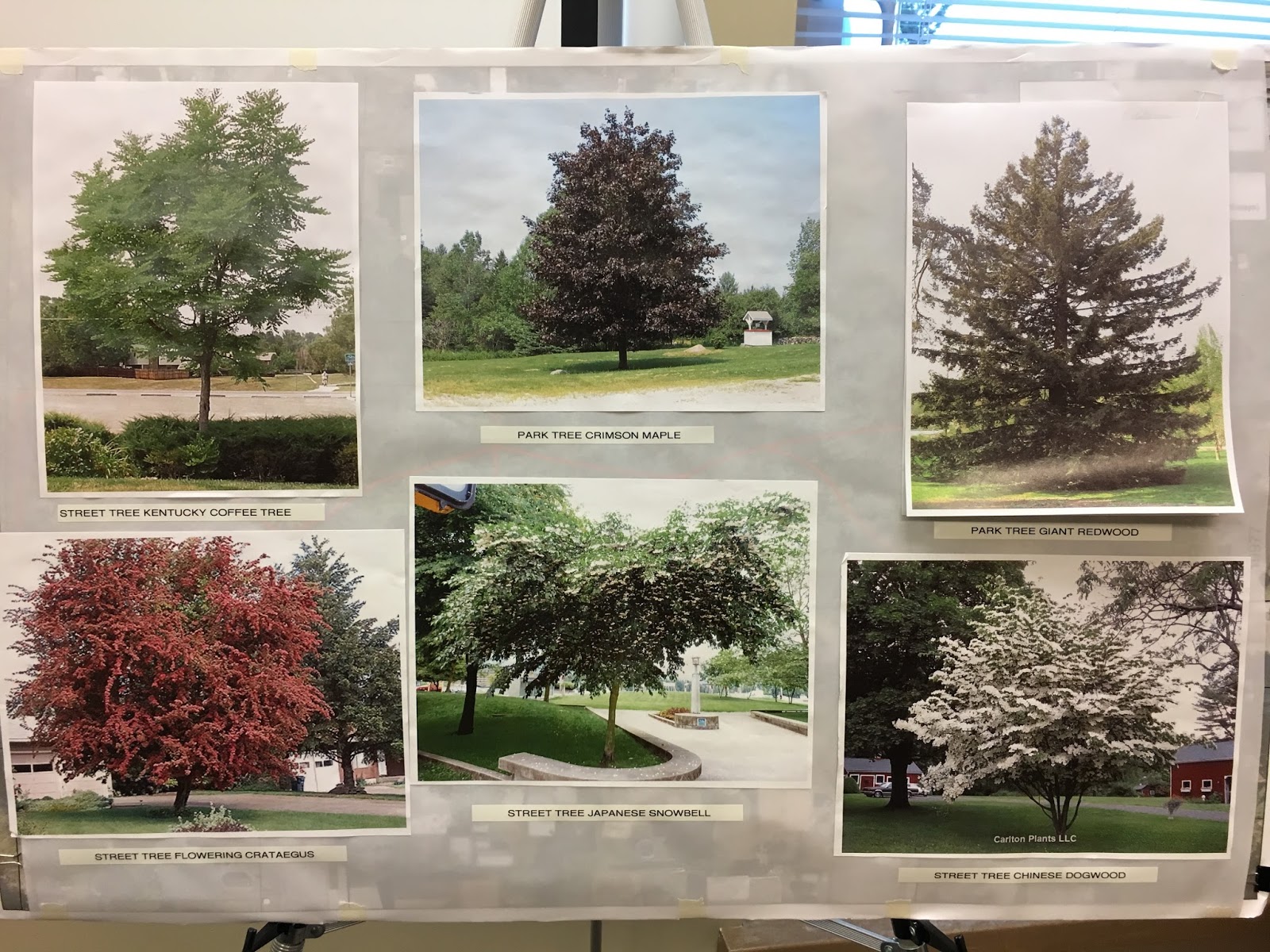 The South Fraser Blog: Draft plan for restored Hunter Park revealed