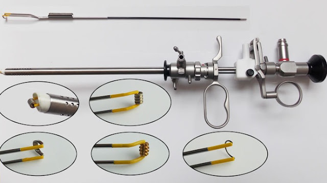 HistoScientifics: La Histotecnología y la terminología médica de las ...