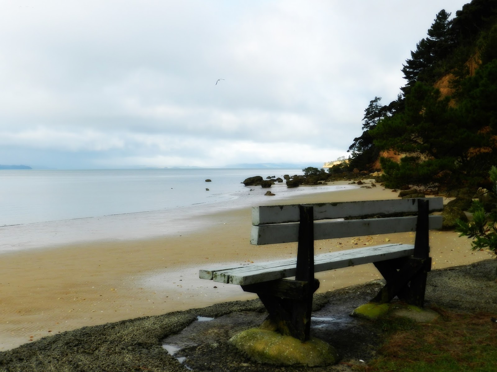 The Paddock: Back to Pouto