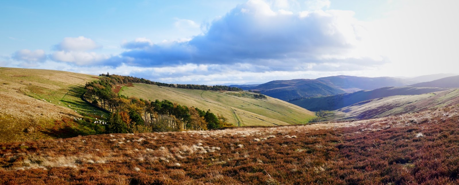 best part of the day: Tweed Valley Ultra Recce and Oct TB
