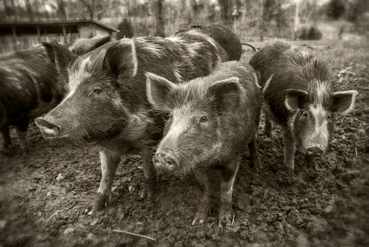 Dan Routh Photography: February 2013