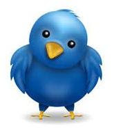 CASPER: El pulpo fantasma de las profundidades del Pacífico | Crepúsculo