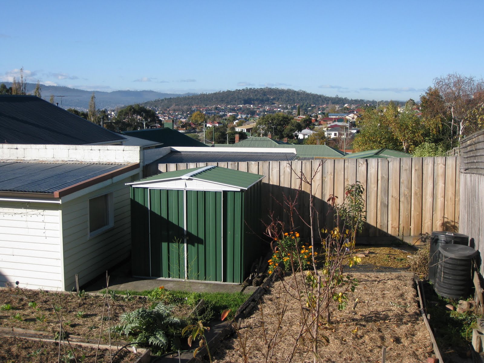 Polystyrene Garden Junkie: Chloe's post...