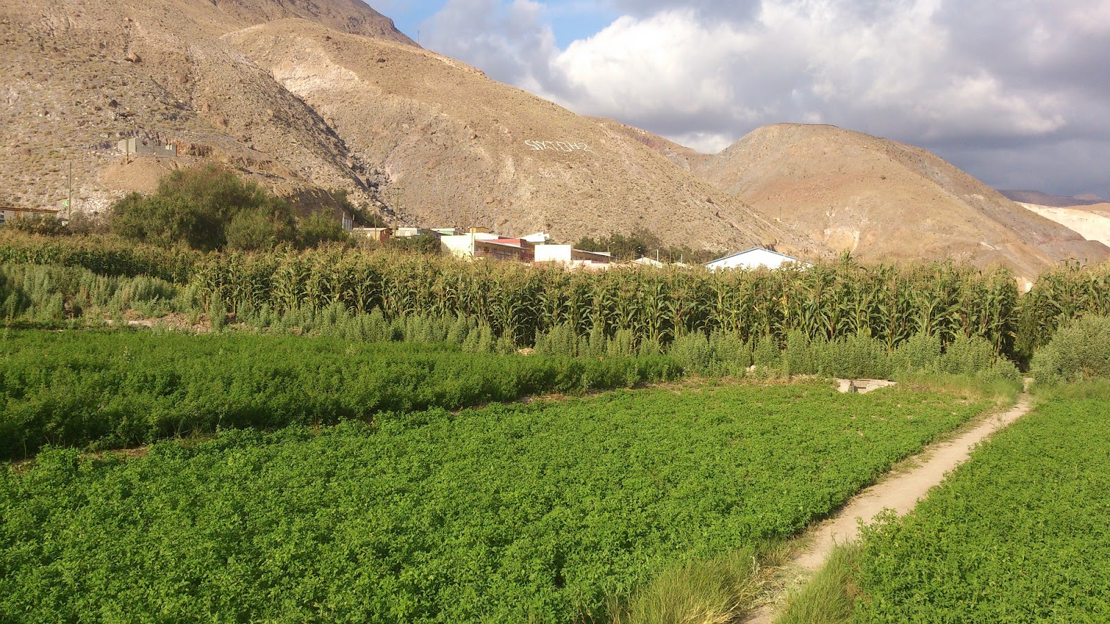 Celebran foro de desarrollo rural sustentable para zonas áridas ~ Mira ...