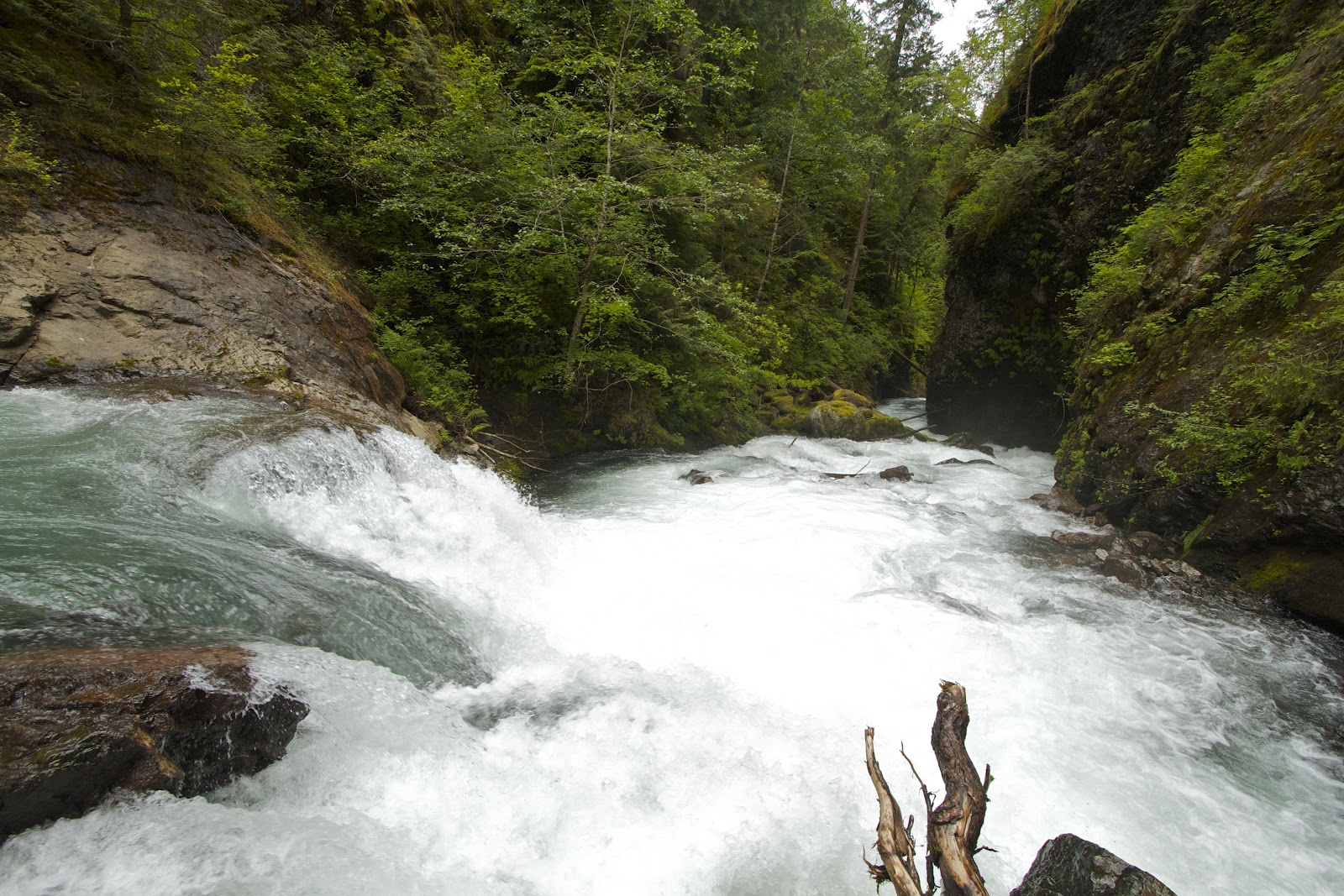 Fluid: As a lifestyle.: The Big Quilcene - Olympic Peninsula