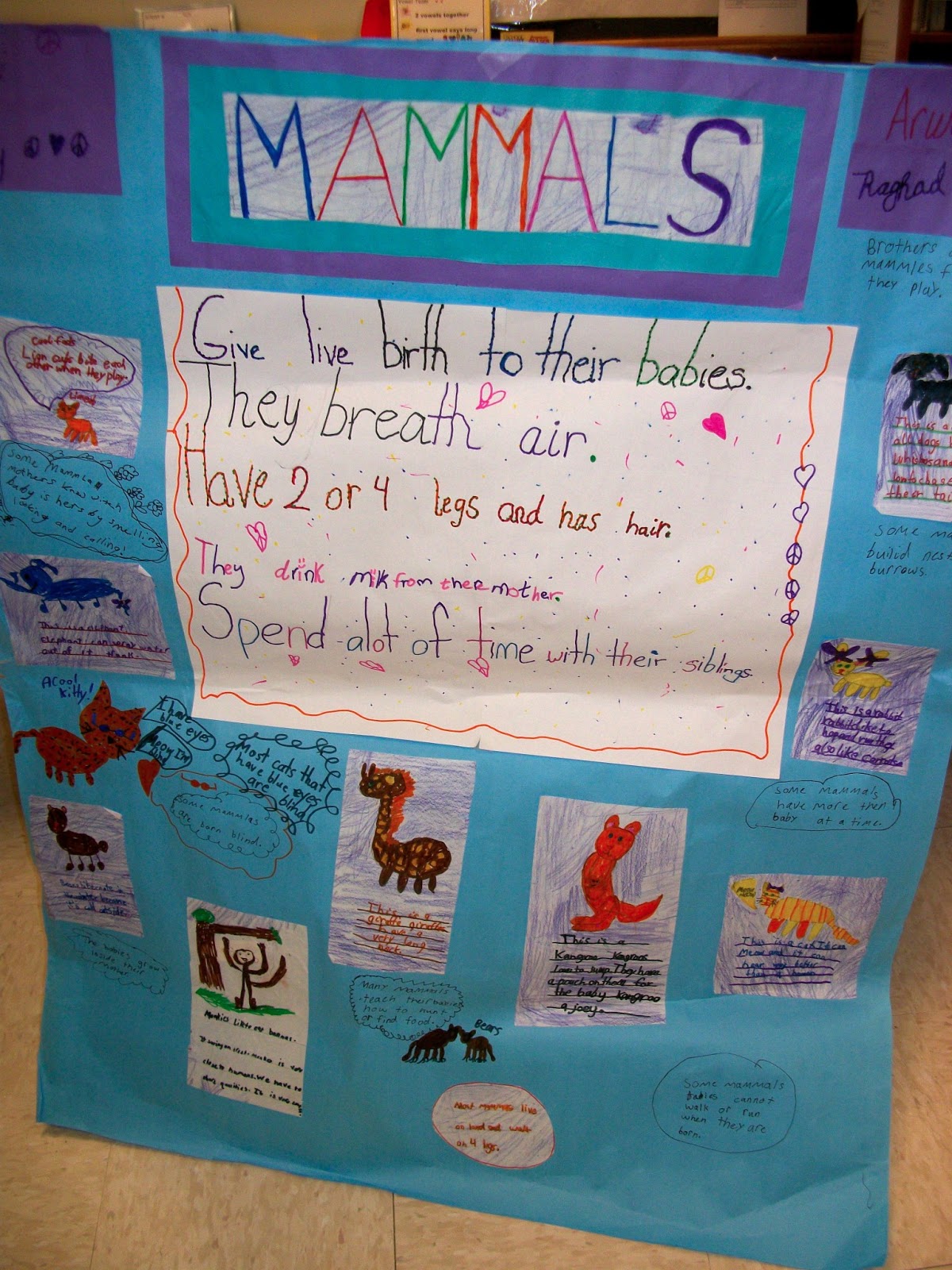 News From the Eagle's Nest: Learning About Mammals