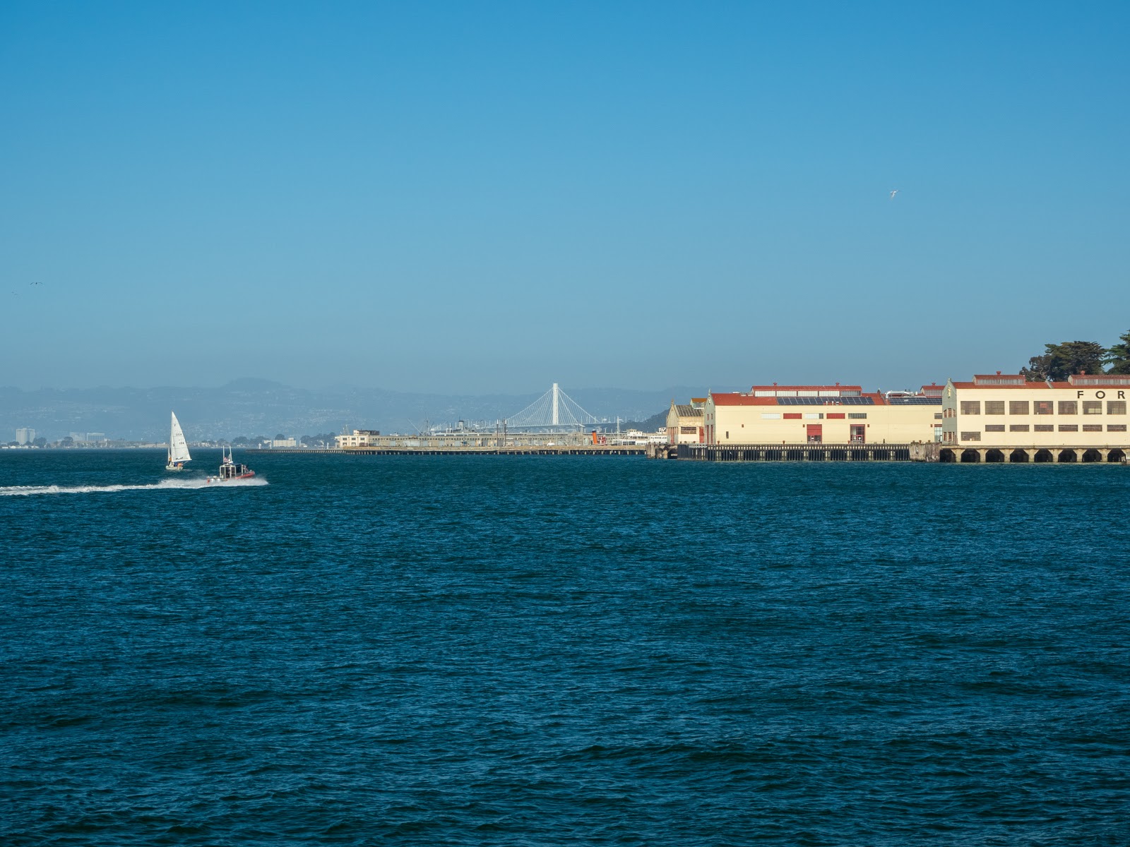 Naturetastic Blog: San Francisco Marina Yacht Harbor & Presidio (Part 3 ...
