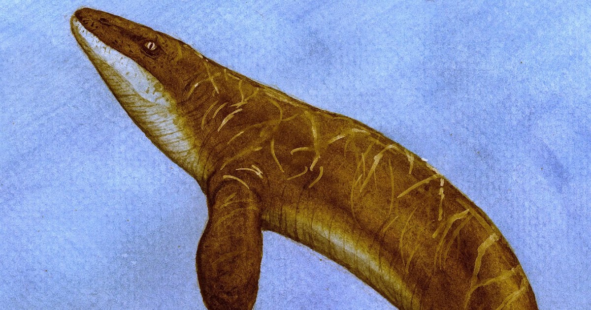 Prehistoric Beast of the Week: Platecarpus: Beast of the Week