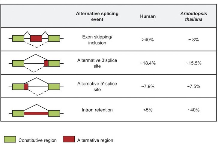 Temperature-specific Alternative Splicing
