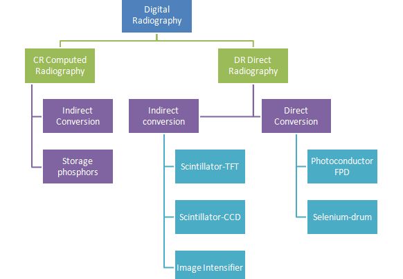 D.R: COMPUTED RADIOGRAPHY