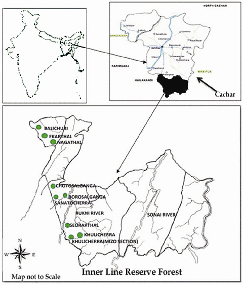 Lushai Territory (Lusei Ram) - Mizo Article