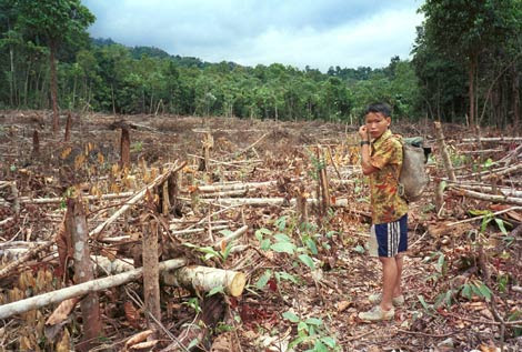 BIODIVERSIDAD: Sobreexplotacion