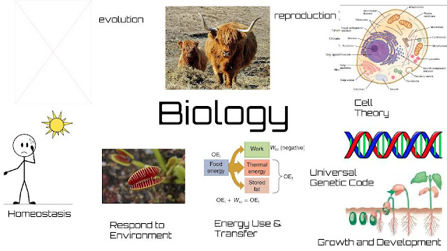 sashabiology: What is Biology? Collage