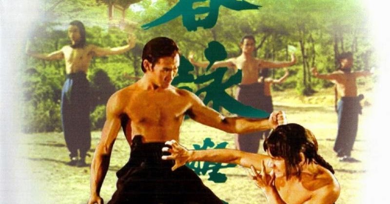 Mono de Kung Fu: Shaolin Martial Arts - Una perla de Shaw Brothers