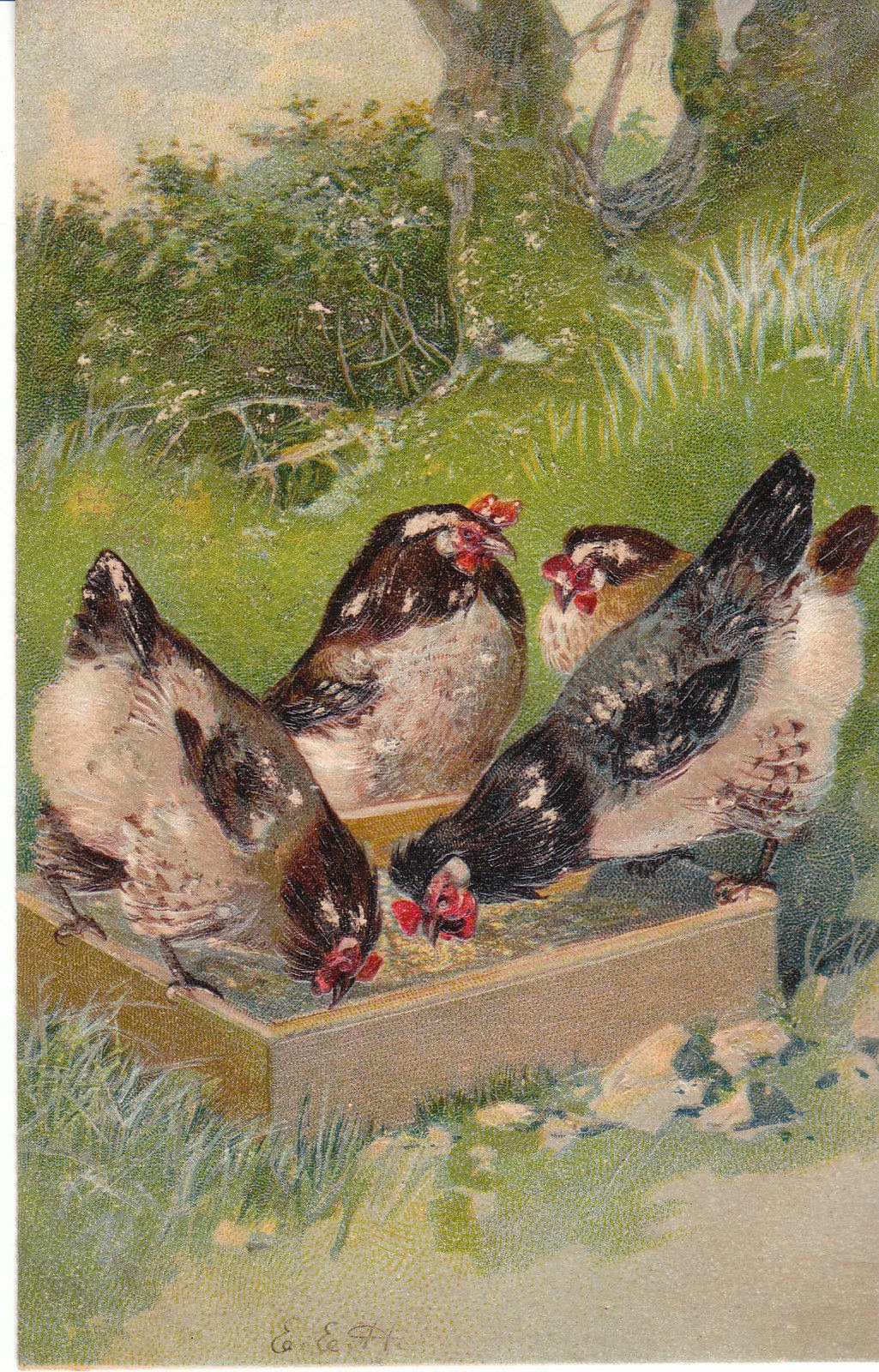 View from the Birdhouse: Daily Vintage - Easter Postcard with Chickens