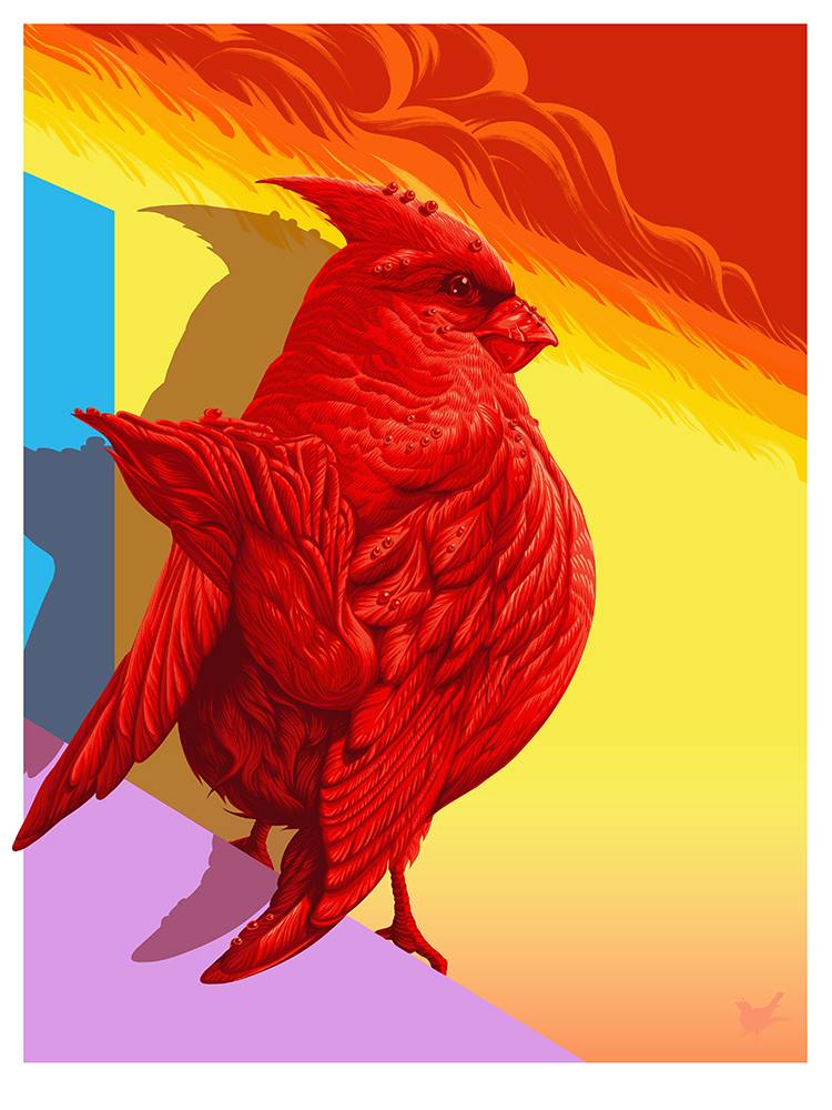 INSIDE THE ROCK POSTER FRAME BLOG: Andrew Ghrist Northern Cardinal Print