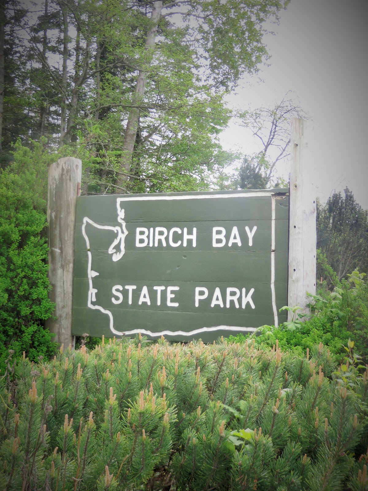 Out & About: We visit Birch Bay State Park - Part 1