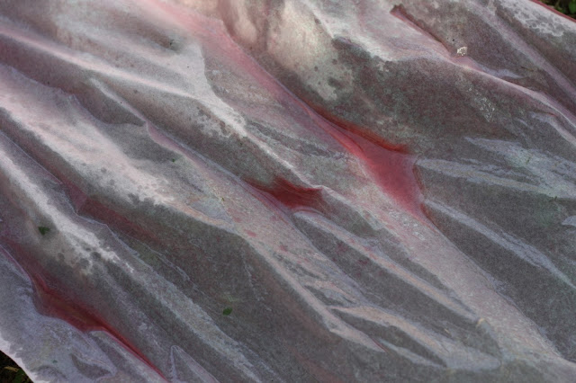 I have a roll of white tissue paper, so I rolled it all out long ...