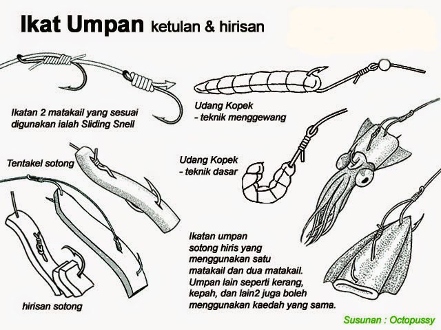 WARTA PANCING: Gambar Rangkaian Pancing dan Cara Memasang Umpan Hidup ...