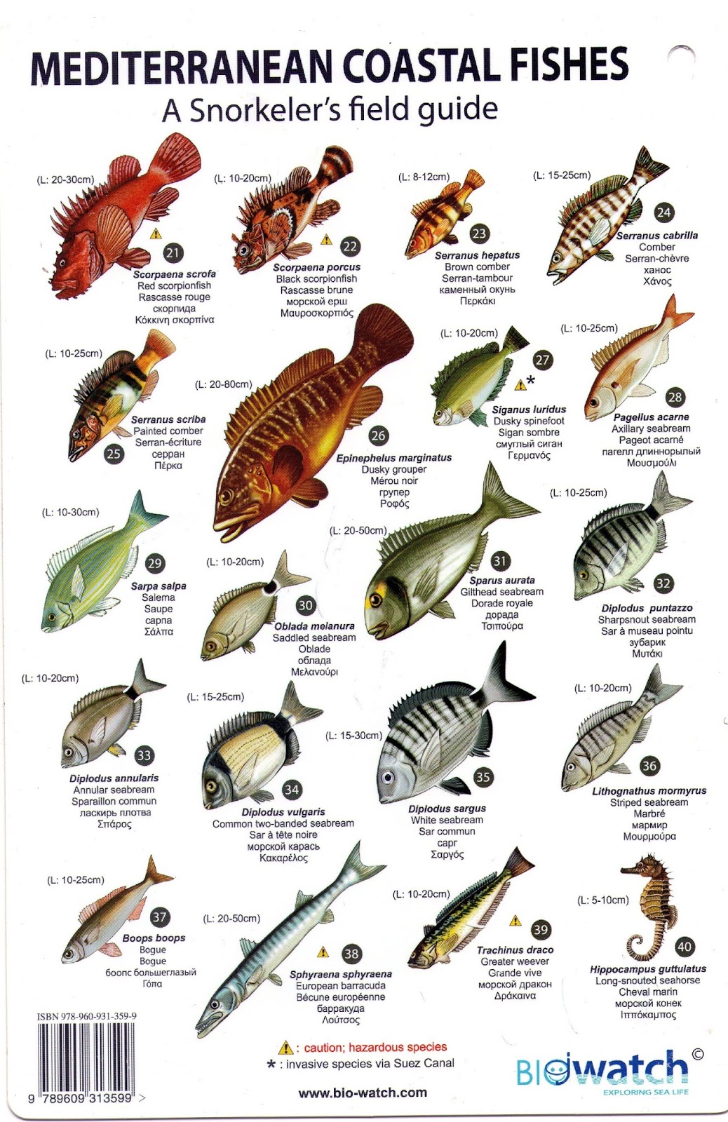 fishing in greek: 2015