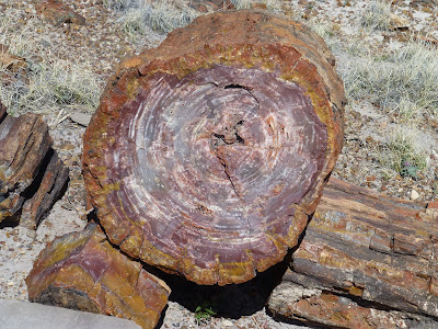 Jim and Barb's RV Adventure: Visits to Winslow, Petrified Forest ...