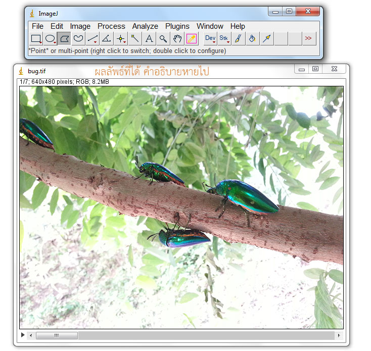 My imageJ: เมนู Image with ImageJ [ตอนที่ 42] Stacks tools, การลบคำอธิบายบน Slice ด้วย Remove ...