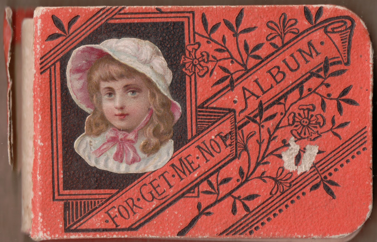 Heirlooms Reunited: 1880s Autograph Album of Walter Scott Rogers of ...