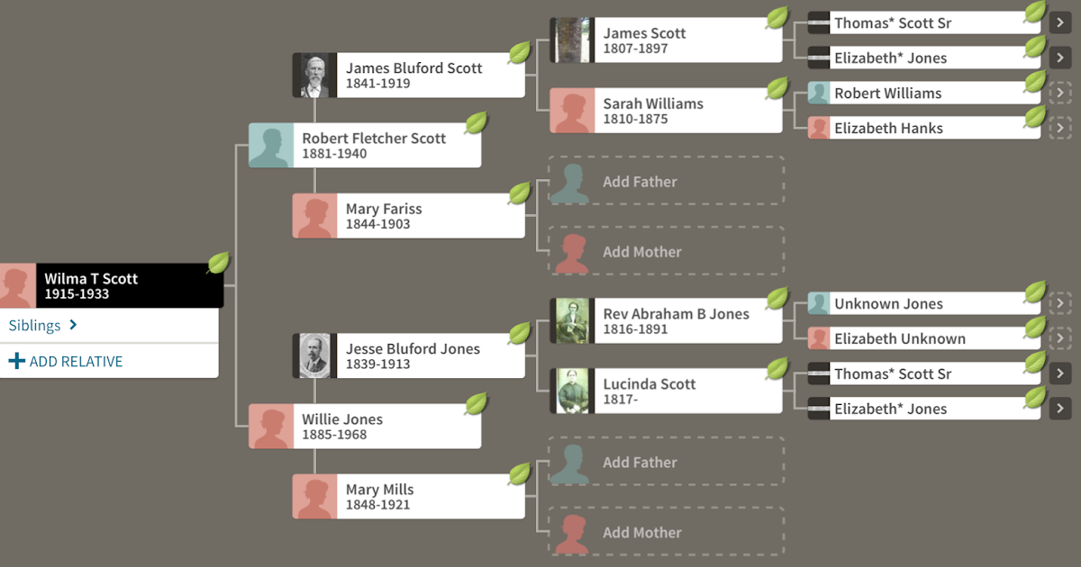 Betty's Boneyard Genealogy Blog: The Family of Rev ABRAHAM B JONES and ...