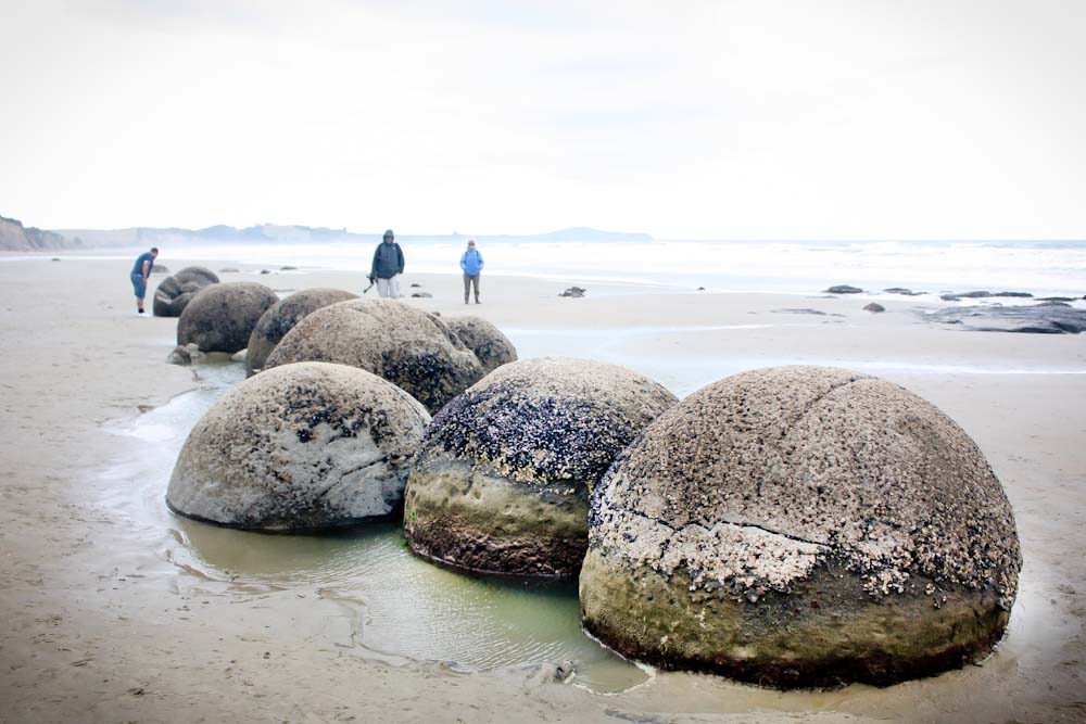 baking = love: A blooming great meal: Fleur's Place, Moeraki