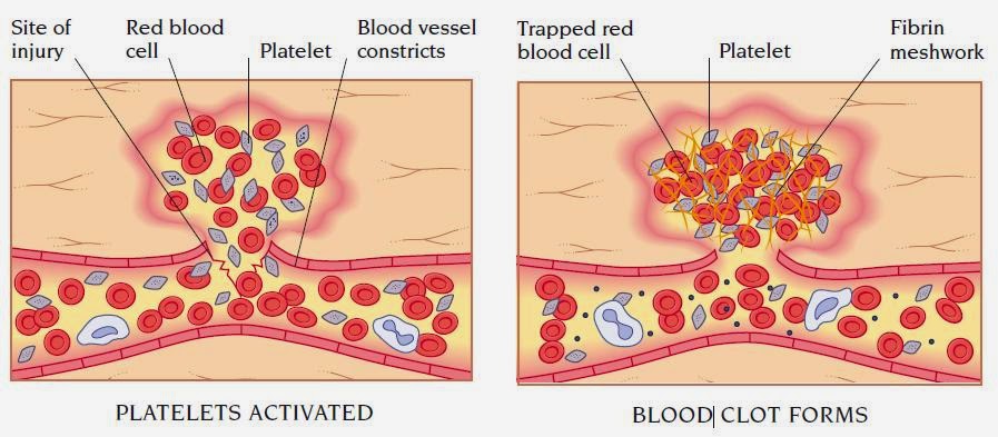 Blood clotting ~ Nursing