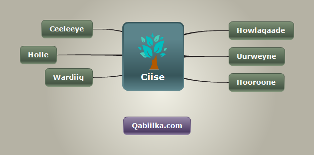 Qabiilka Ciise ~ Qabiilka.com