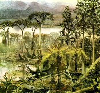 Mis clases de Paleontologia: Paleobotánica una ventana a la historia de ...