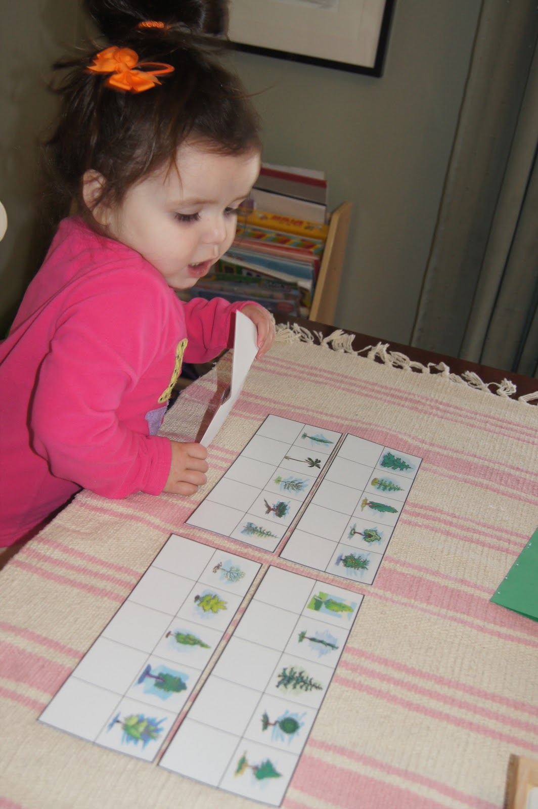 Botany 1 - Montessori Botany Puzzle Cabinet Work - "Making Montessori Ours"