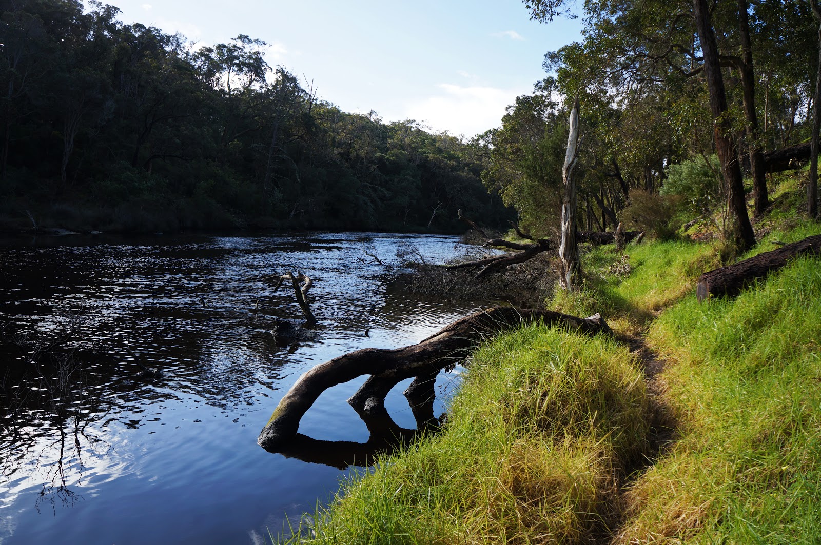 Luke Pen Walk (Kalgan River) ~ The Long Way's Better