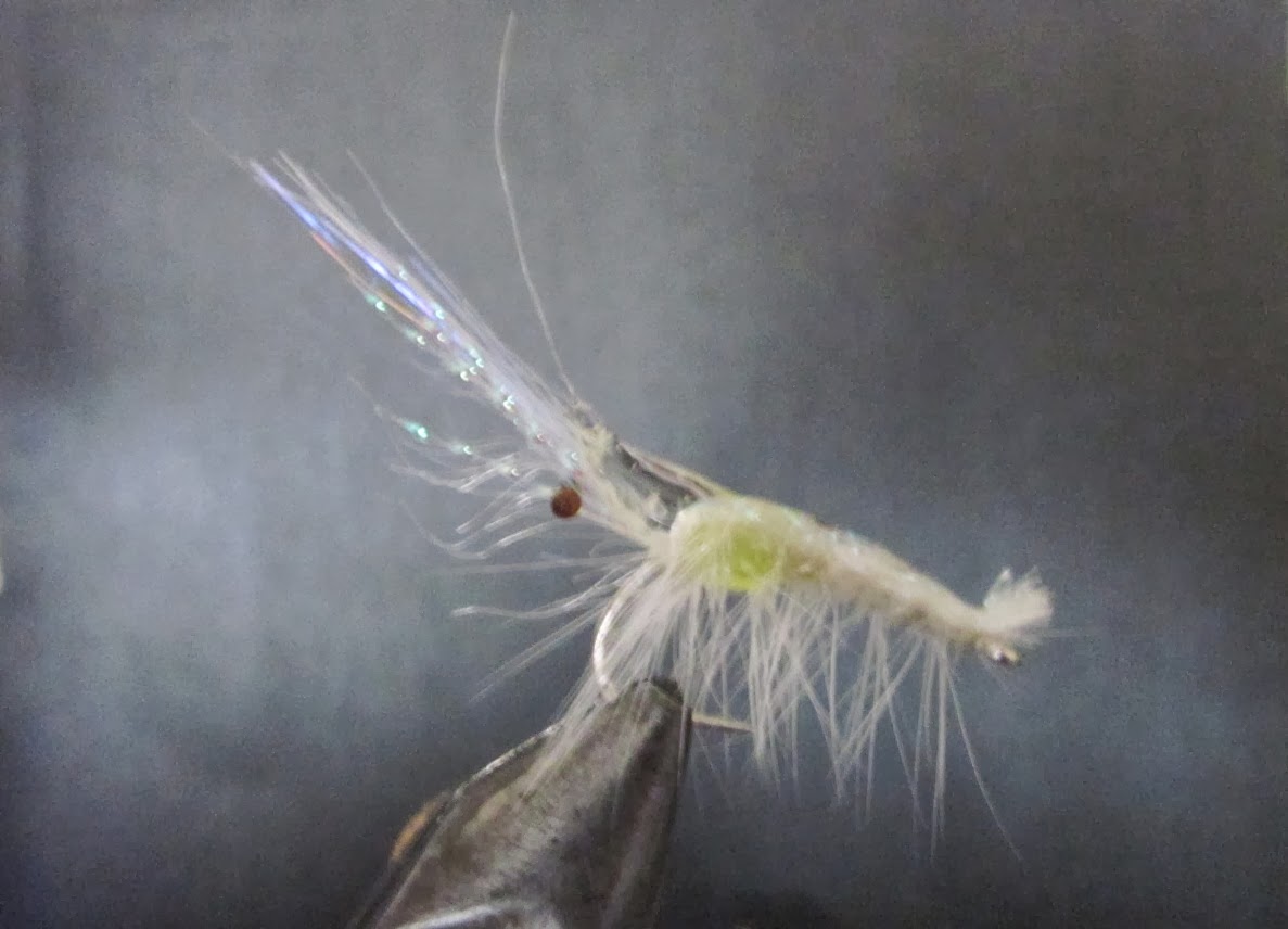 JC's Art of Flies: Step-by-Step Tying JC's Clear Shrimp Fly