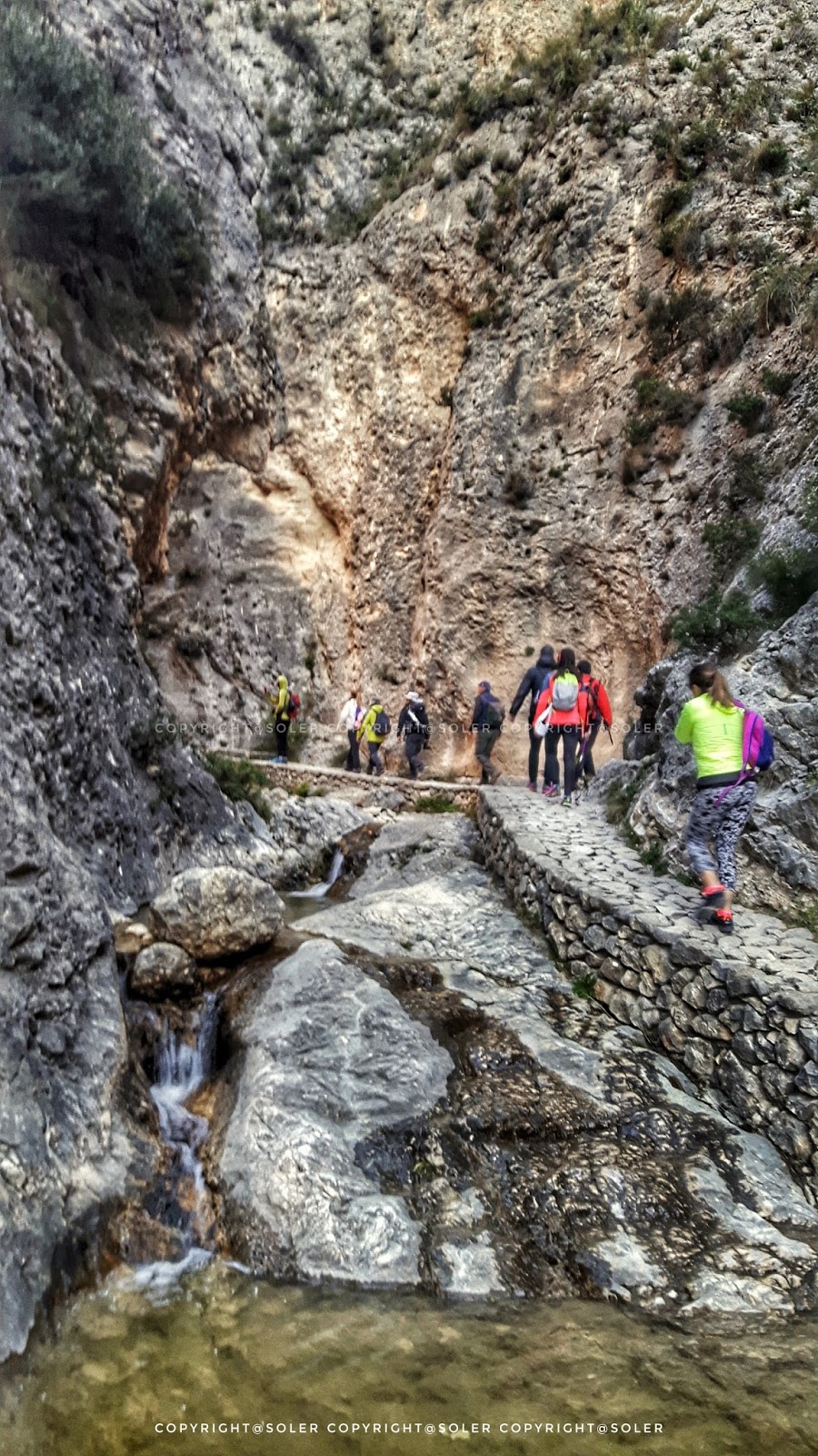LO QUE VEN MIS OJOS: EXCURSIÓN CIRCULAR EN LA BUITRERA DE ALCOY