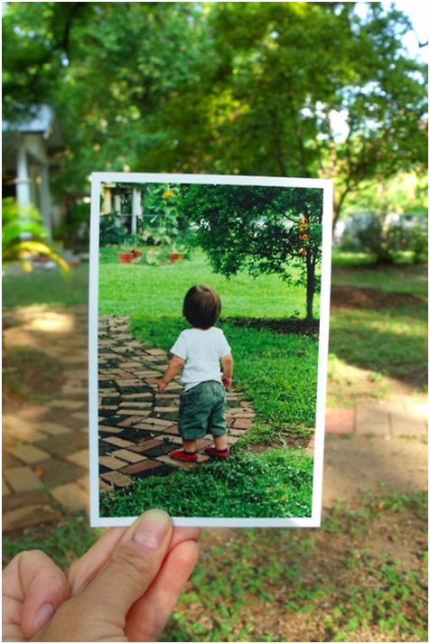 Victorian Secrets: Imágenes que inspiran: Dear Photograph