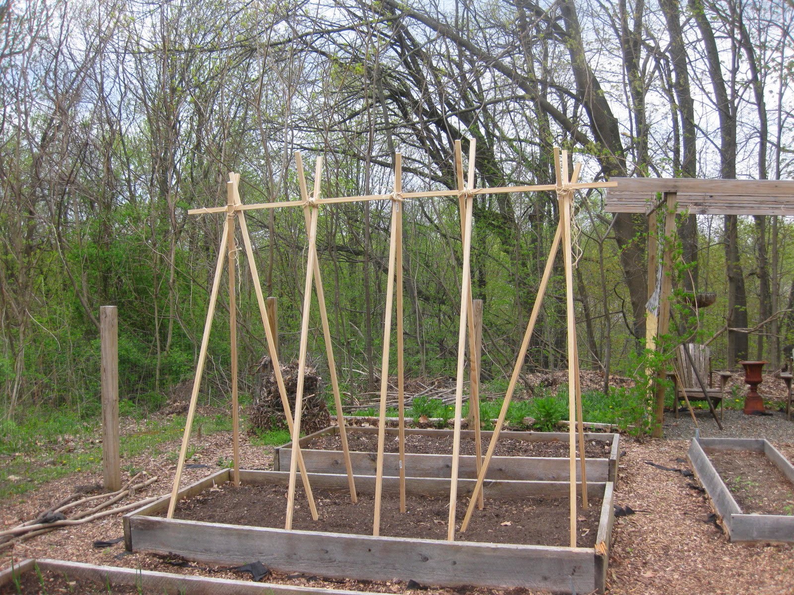 The love swing. » BOKEP SEJATI