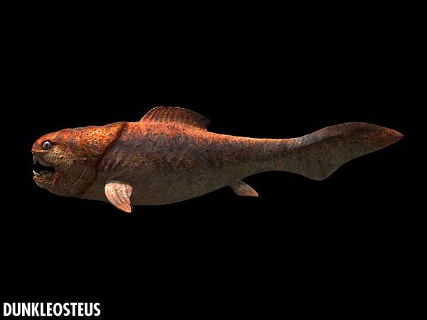 Life Before the Dinosaurs: Dunkleosteus.