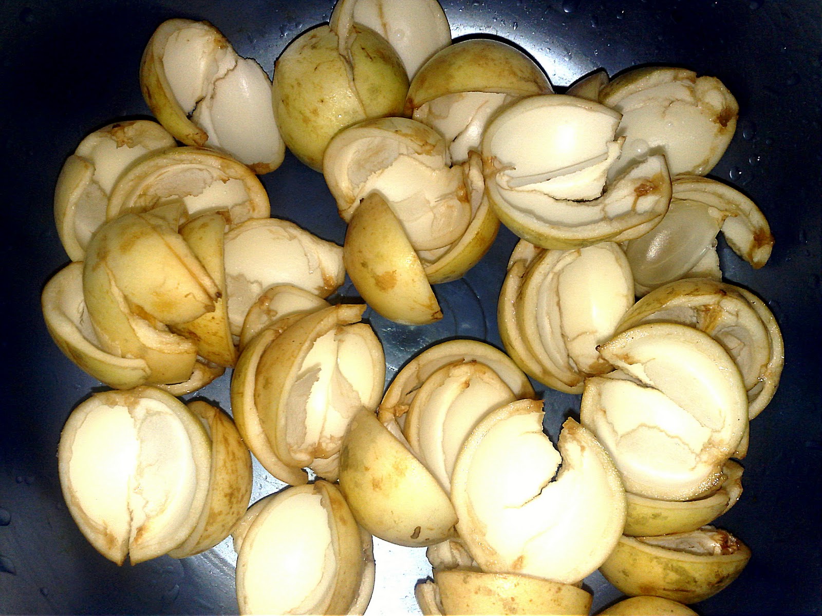 FAMILY JANNATI: MASAK LEMAK KUPANG BERSAMA KULIT RAMBAI