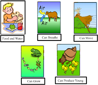 Science for Primary School ( Year 2): Unit 1 :Living Things and Non ...